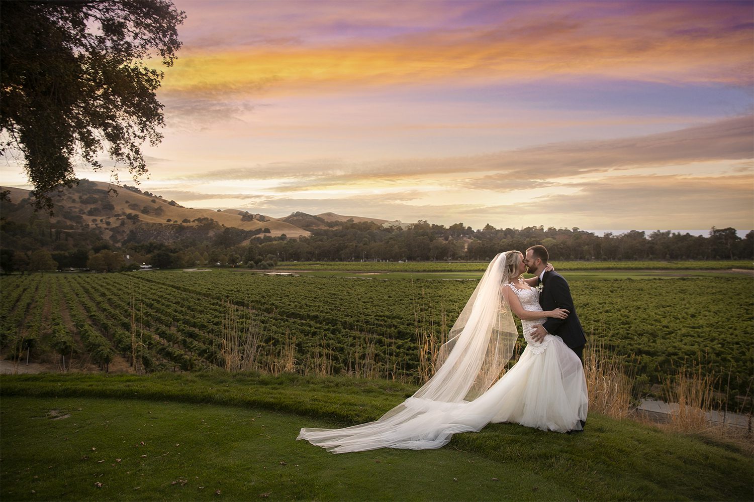 Nightingale Wedding Film | Kati & Justin - Nightingale Photography ...